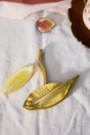 The Stevie Fish Citrus Juicer – Growing Space Interiors